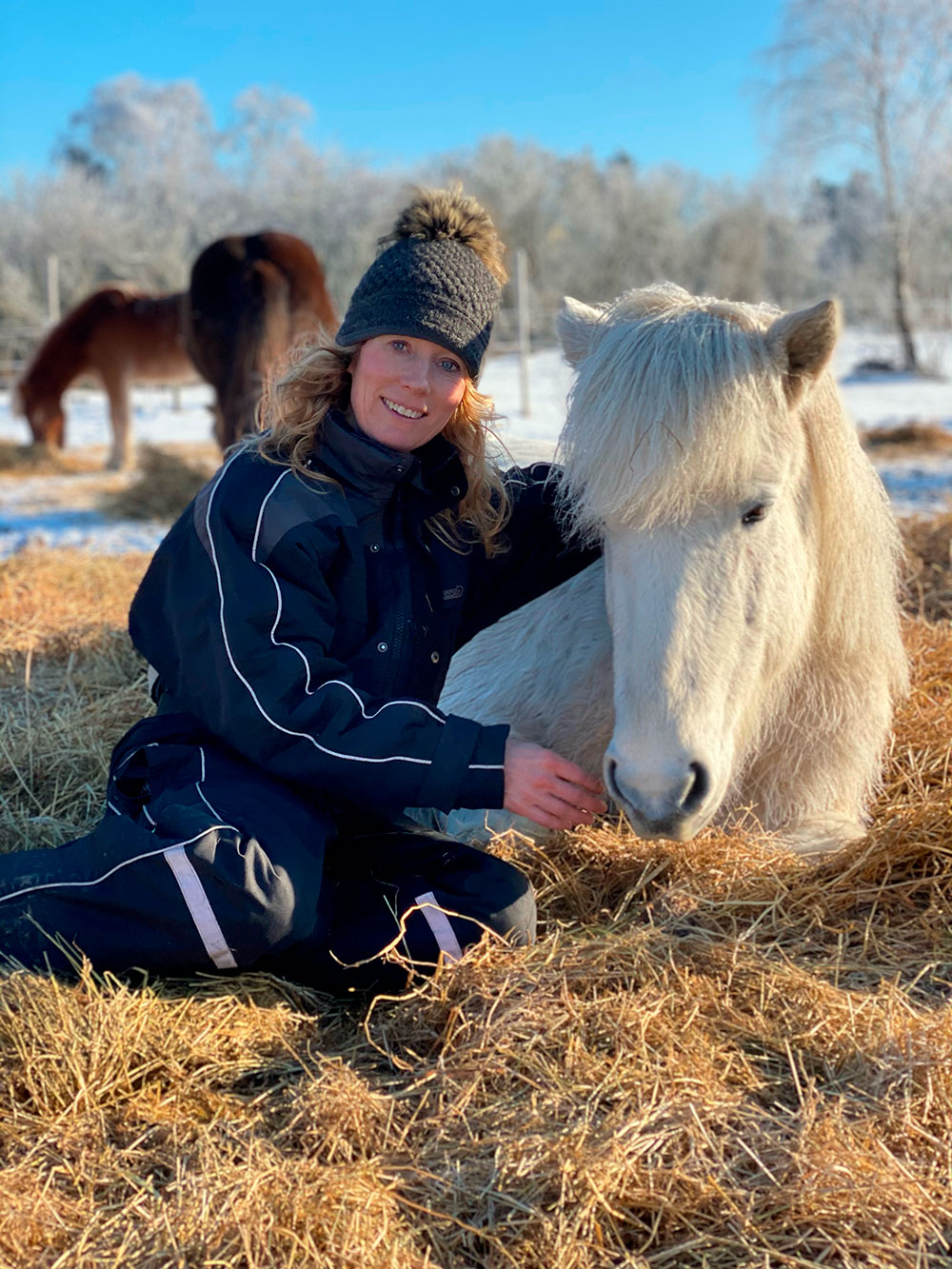 Turridning Sjælland Islandske heste i skøn natur på Feddet ved Præstø